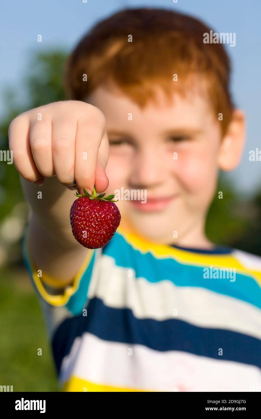 red sweet strawberries Stock Photo - Alamy