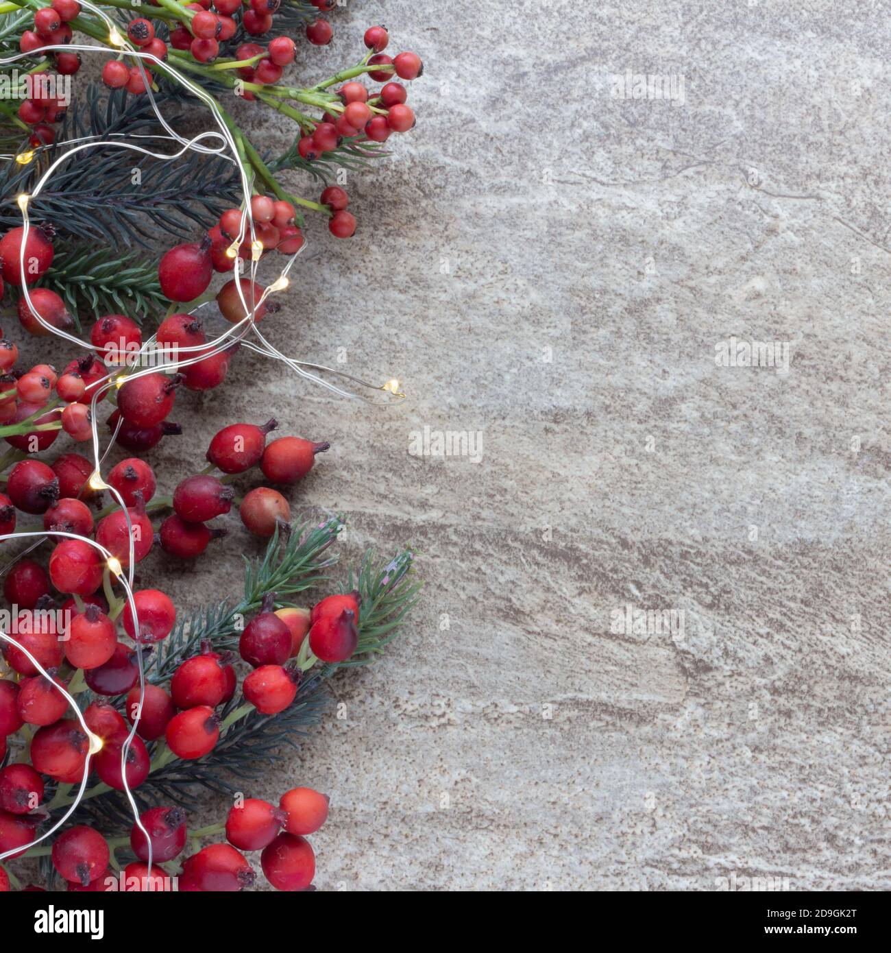 Christmas background with copy space, evergreen boughs, berries and ...