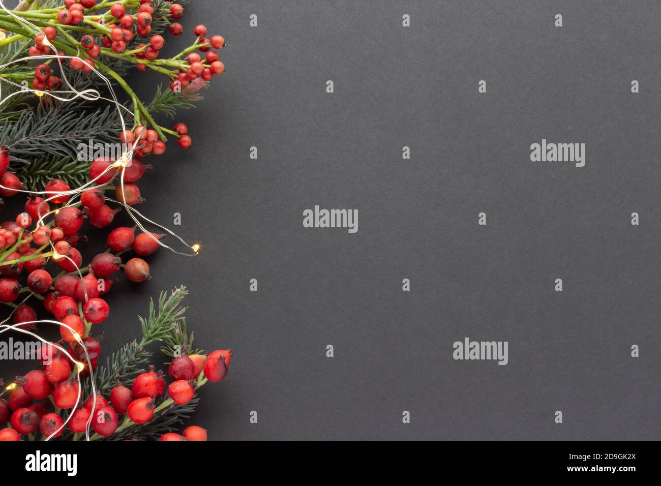 Christmas background with copy space, evergreen boughs, berries and ...