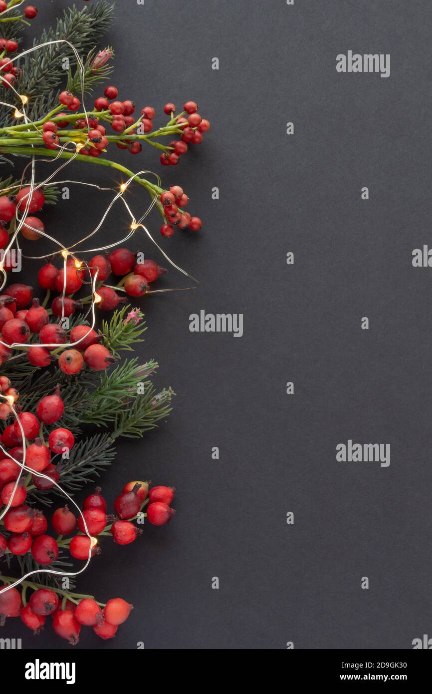Christmas background with copy space, evergreen boughs, berries and ...