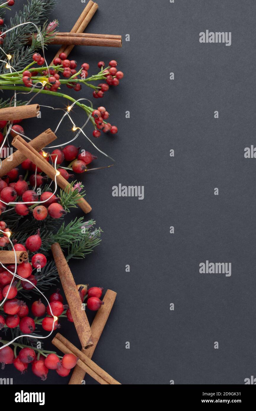 Christmas background with copy space, berries, cinnamon sticks ...