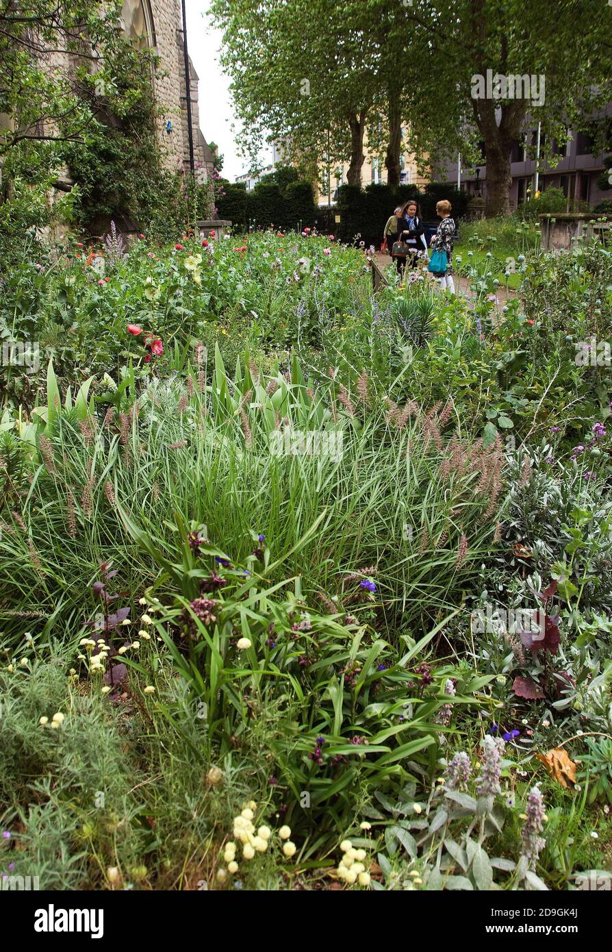 Prairie planting by garden designer Dan Pearson at the Garden Museum in ...