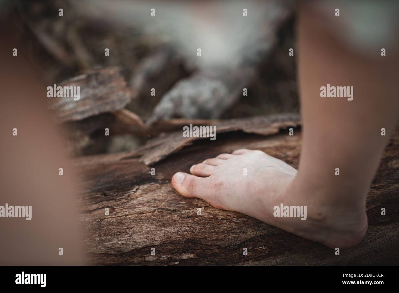 Barefoot girl on old fallen tree trunks Stock Photo - Alamy