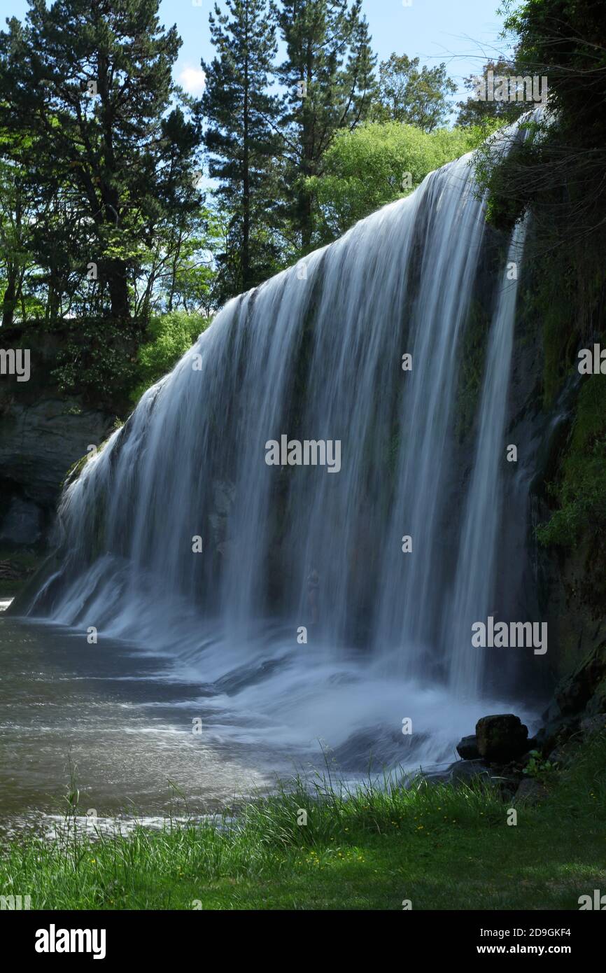 Beautiful vertical shot forest hi-res stock photography and images - Alamy