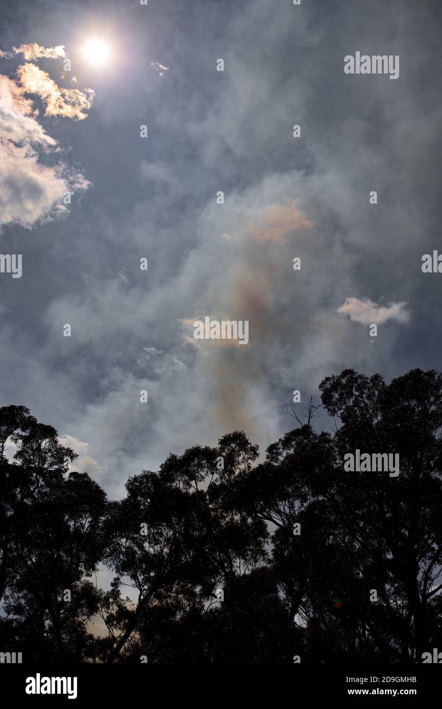 Vertical shot of a bushfire in Australia Stock Photo - Alamy
