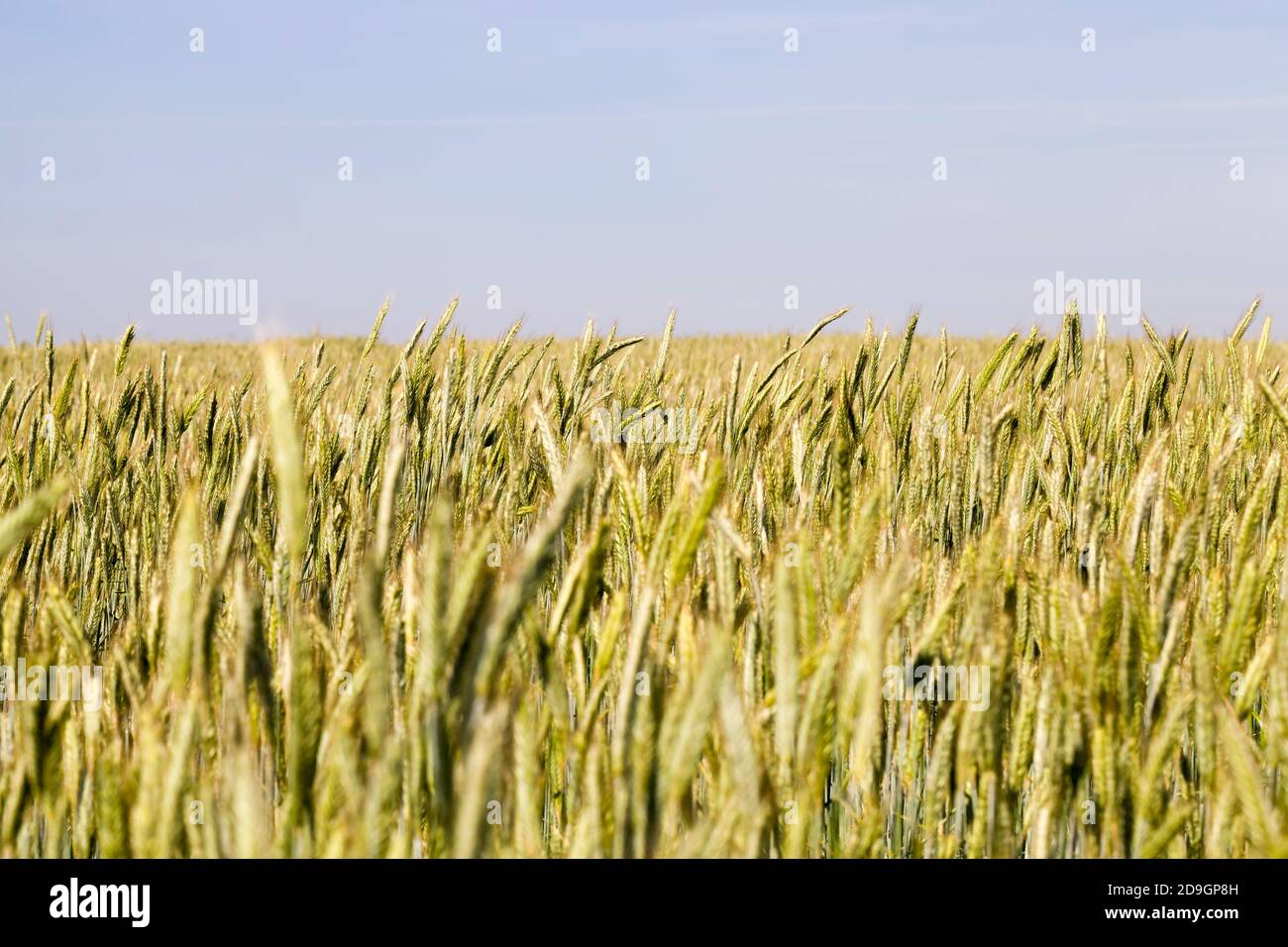 Agricultural activities hi-res stock photography and images - Alamy