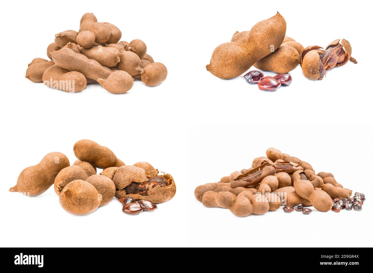 Collage of Tamarind isolated over a white background Stock Photo - Alamy