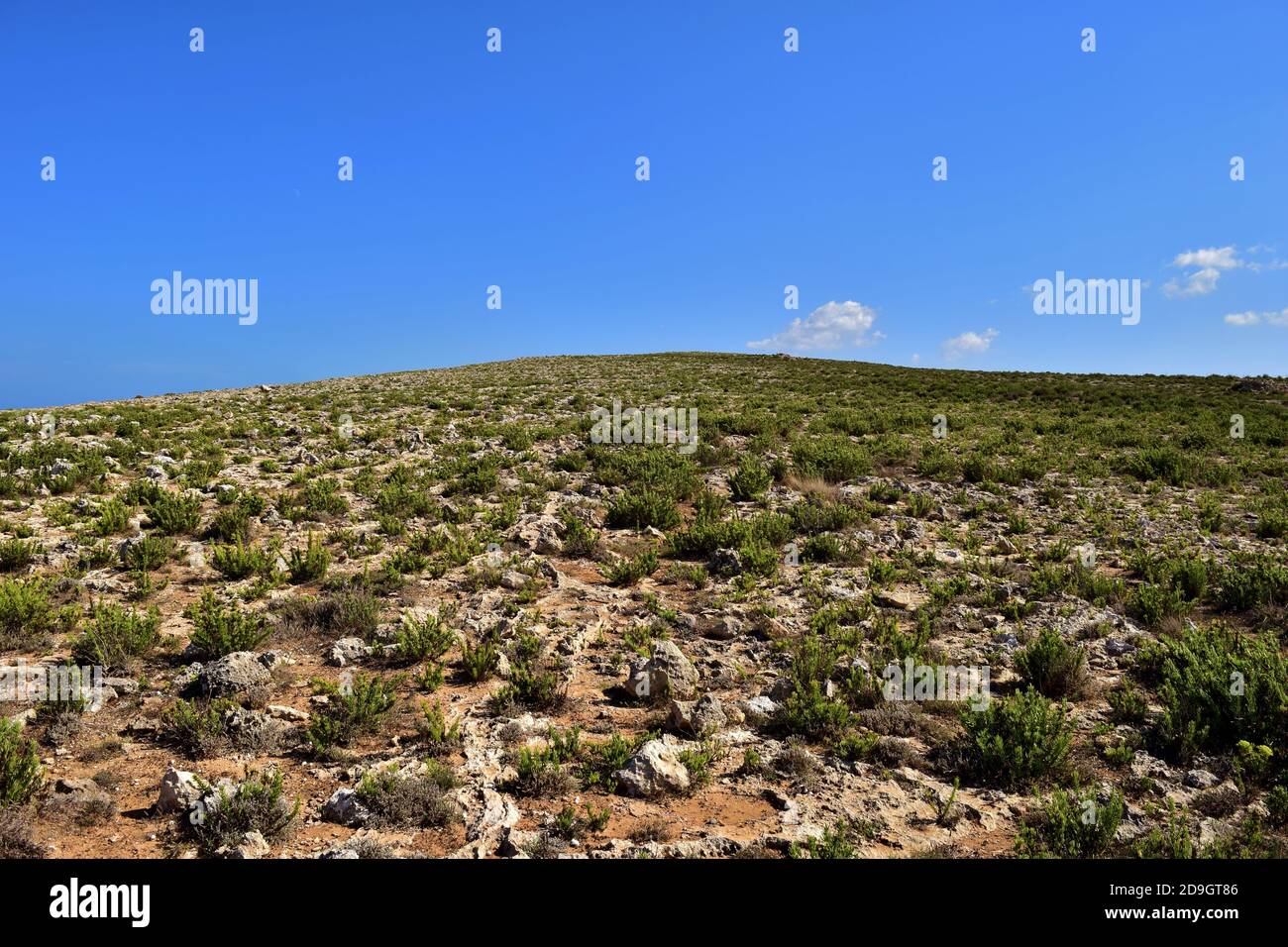 Garigue vegetation with succulent plants on a karst limestone landscape ...