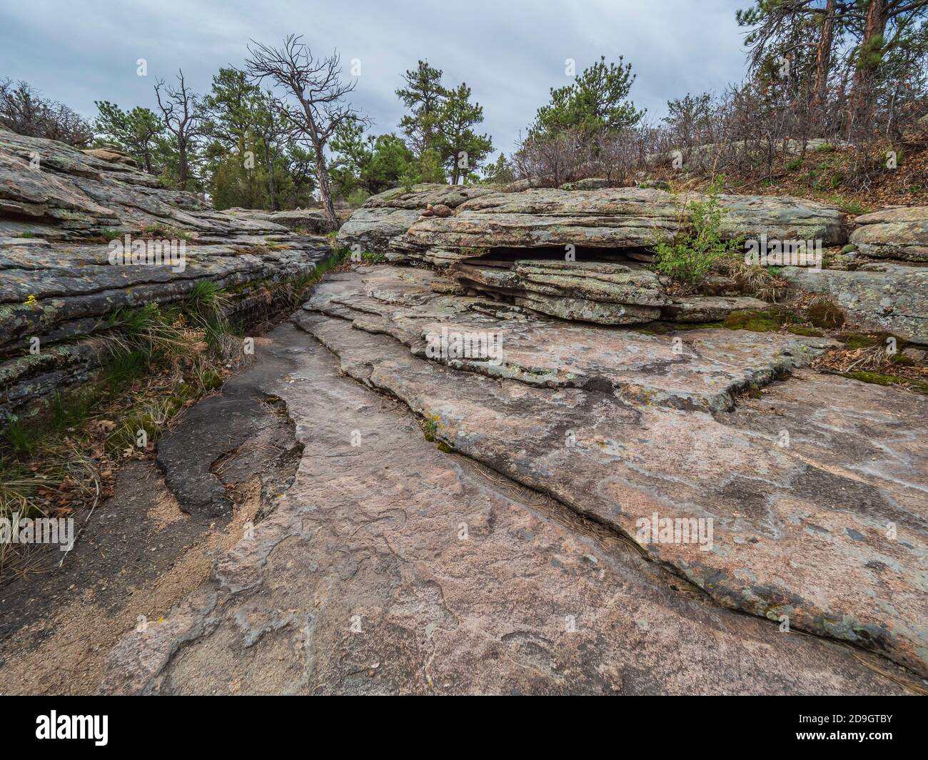 East Canyon Preservation Area, Castlewood State Park, Franktown ...