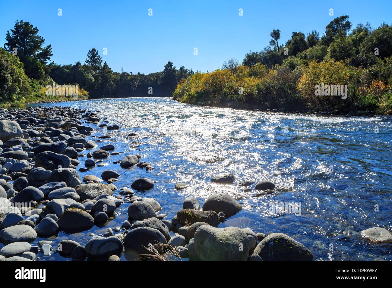 Sunlight sparkling hi-res stock photography and images - Alamy