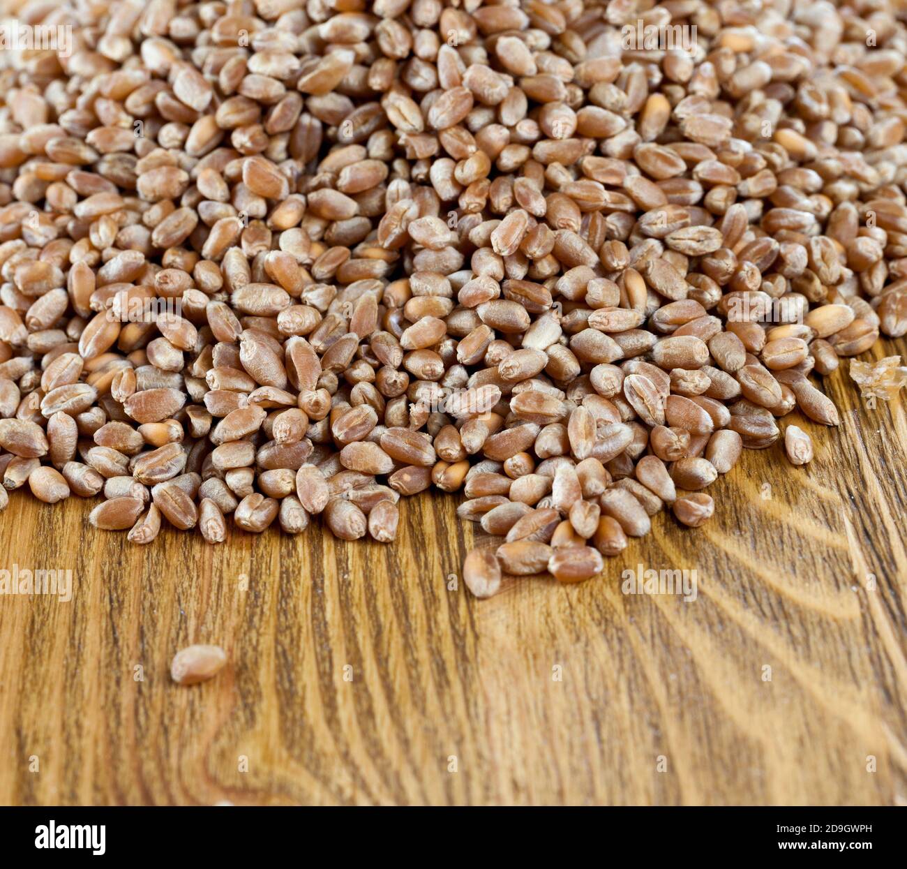 Rye grain hi-res stock photography and images - Alamy