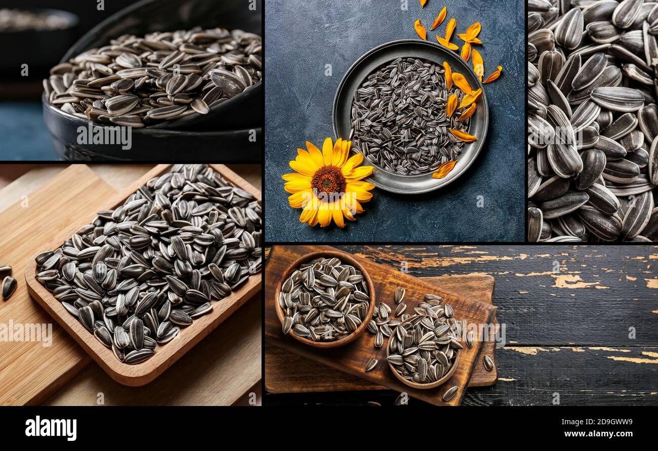 Collage of photos with sunflower seeds Stock Photo - Alamy