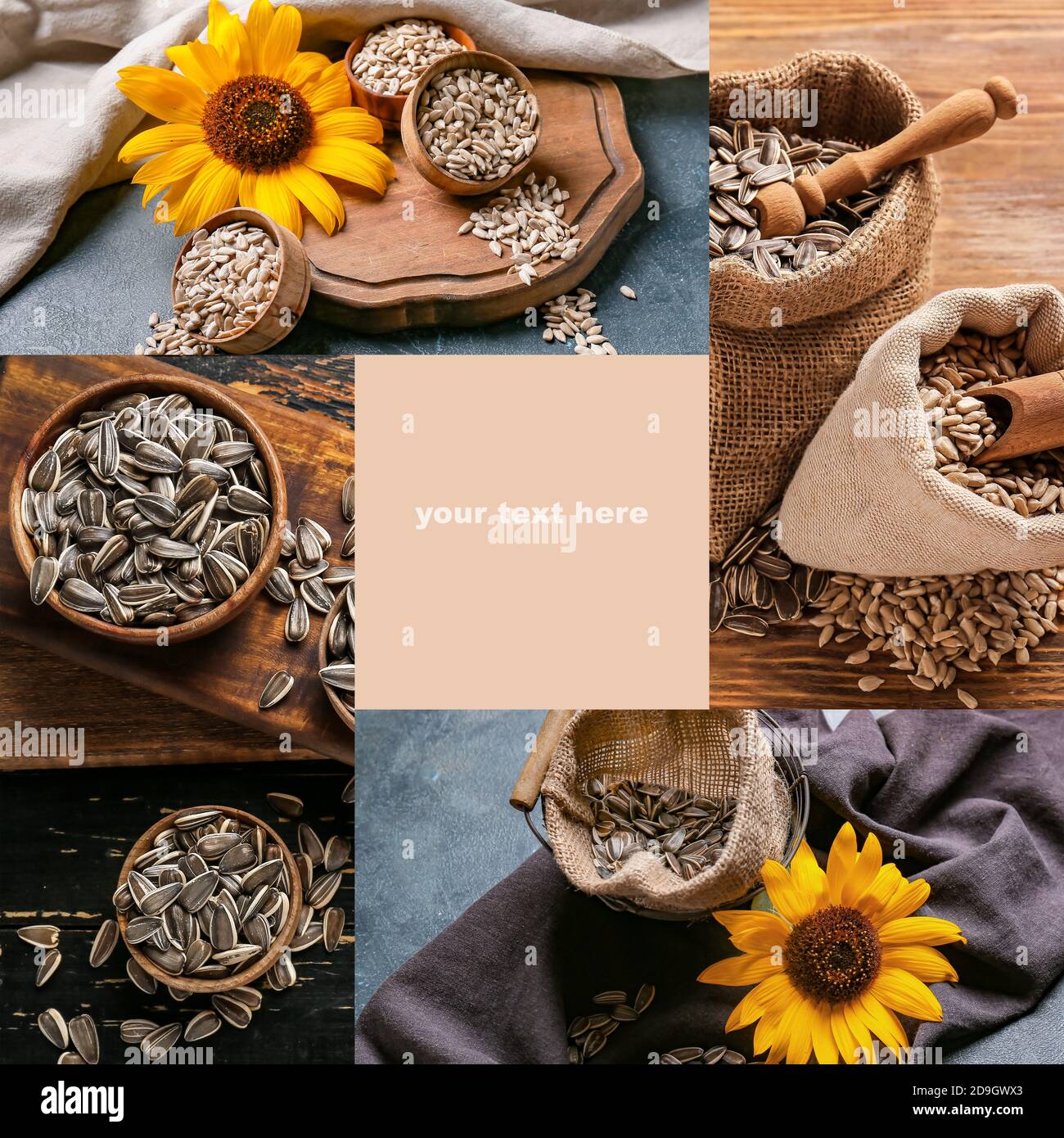 Collage with sunflower seeds and place for text Stock Photo - Alamy