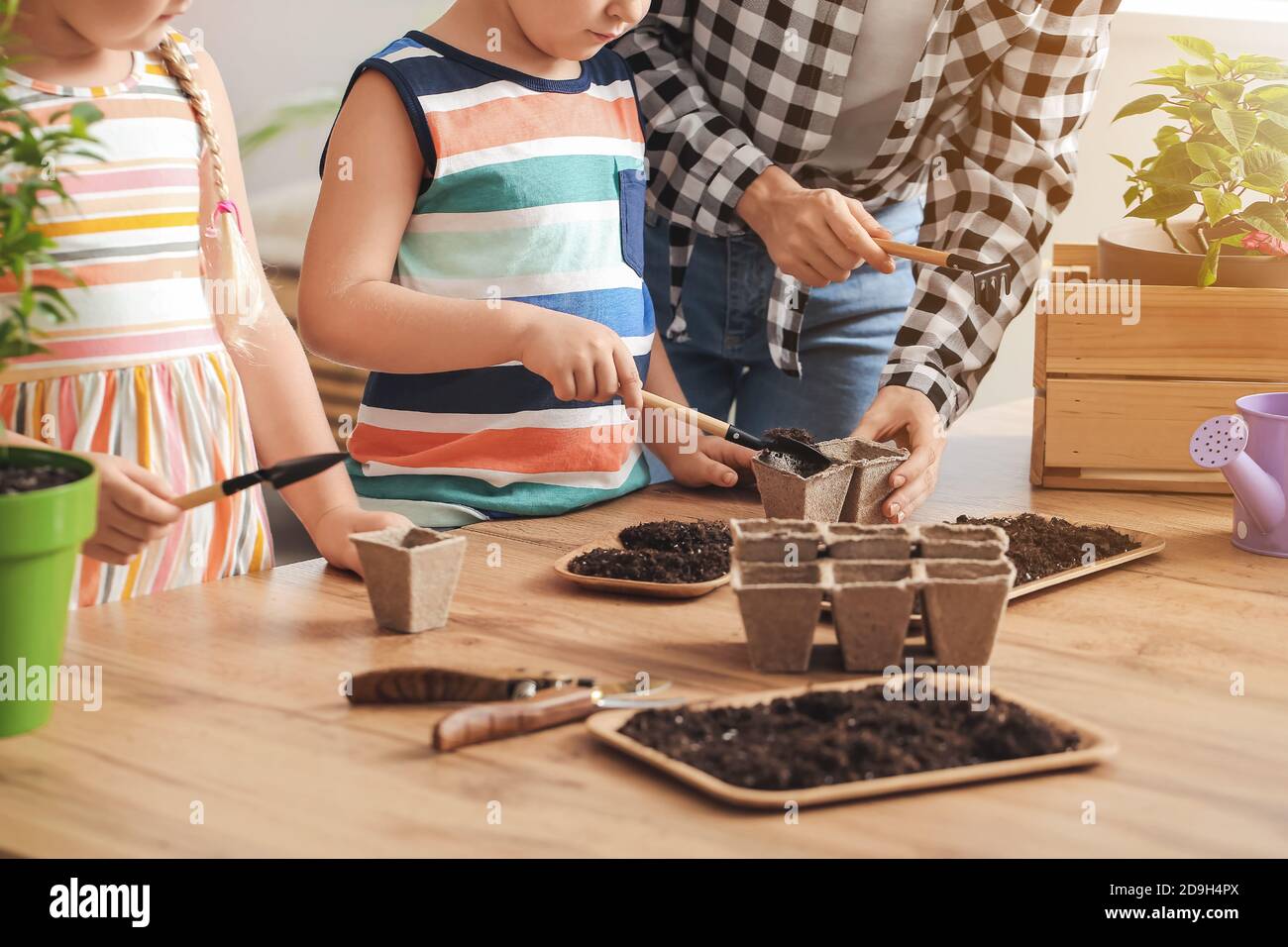 Young family setting out plants at home Stock Photo - Alamy