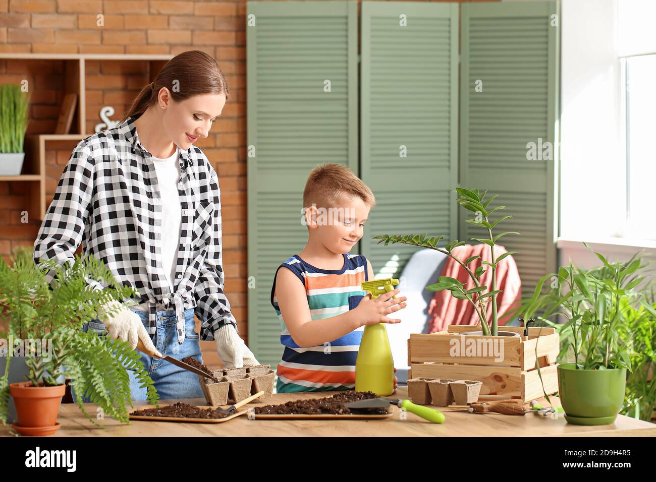 Young mother with son setting out plants at home Stock Photo - Alamy