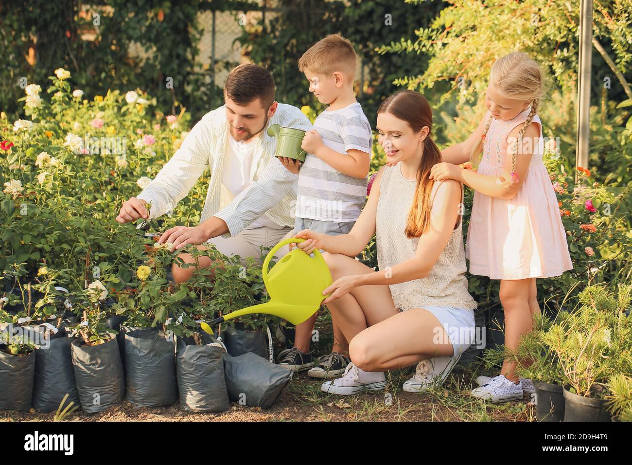 Father son mother farm working hi-res stock photography and images - Alamy