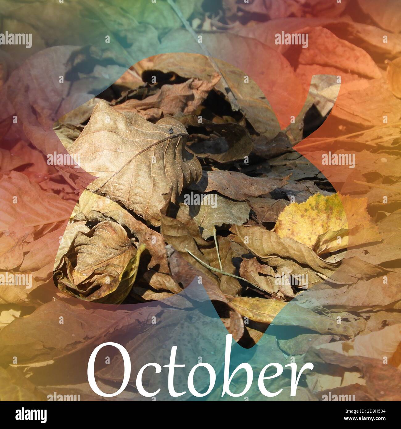 Outline of a leaf with "October" written under it against dried leaves ...