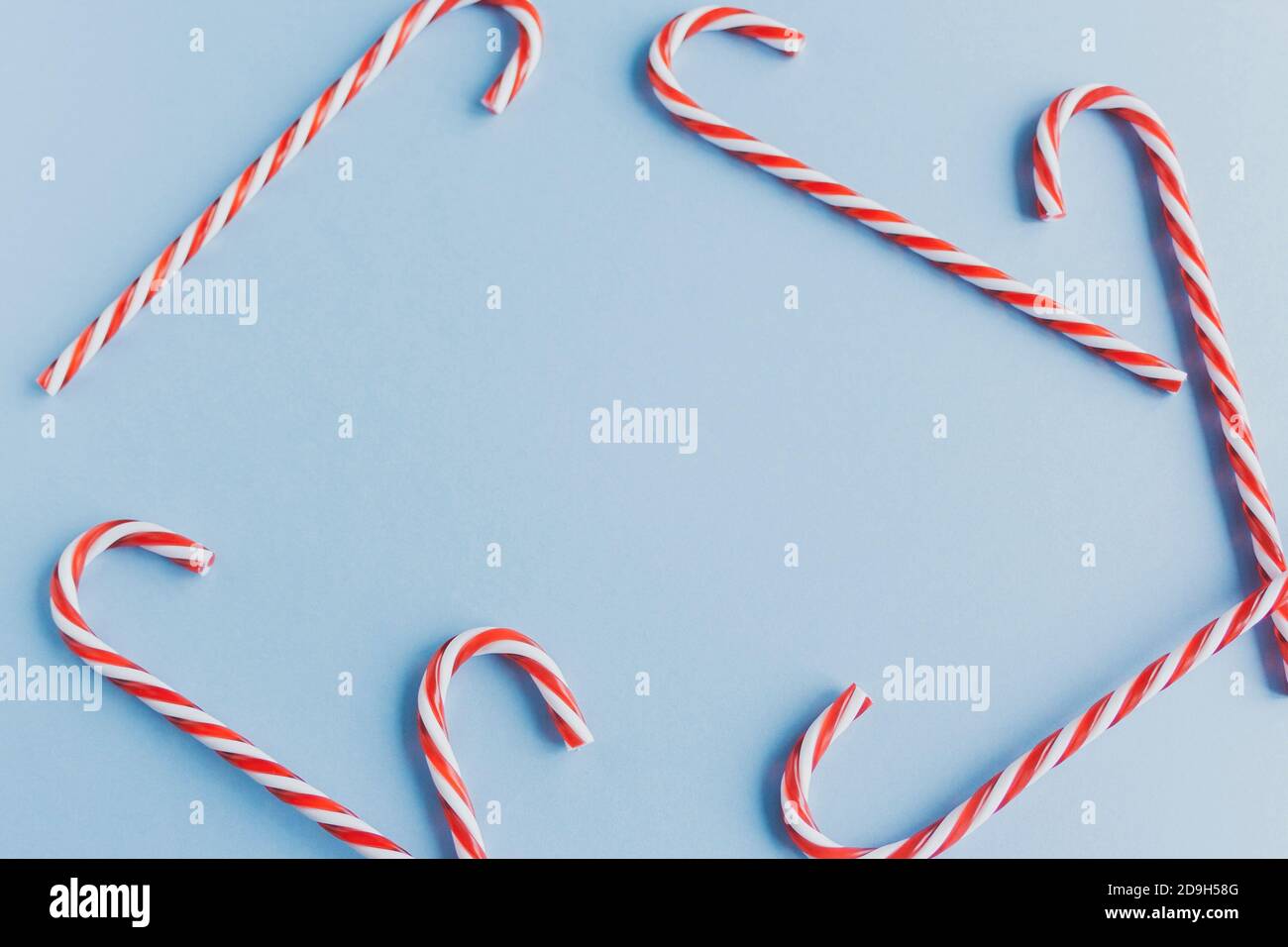 Christmas candy canes and fir branches flat lay Stock Photo - Alamy