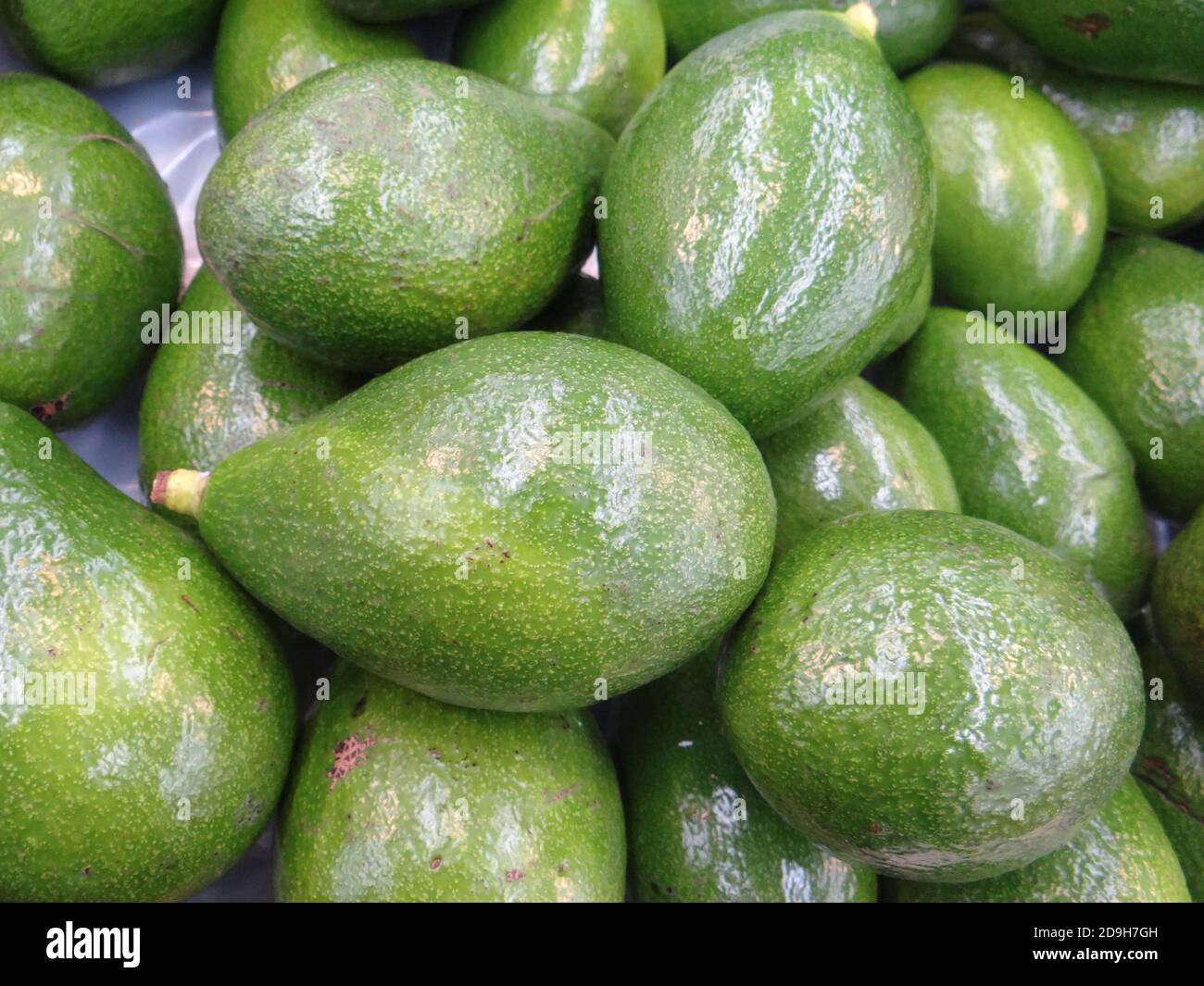 Closeup shot snake open hi-res stock photography and images - Alamy