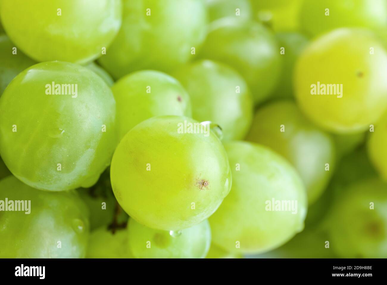 Ripe green grapes as background, closeup Stock Photo - Alamy