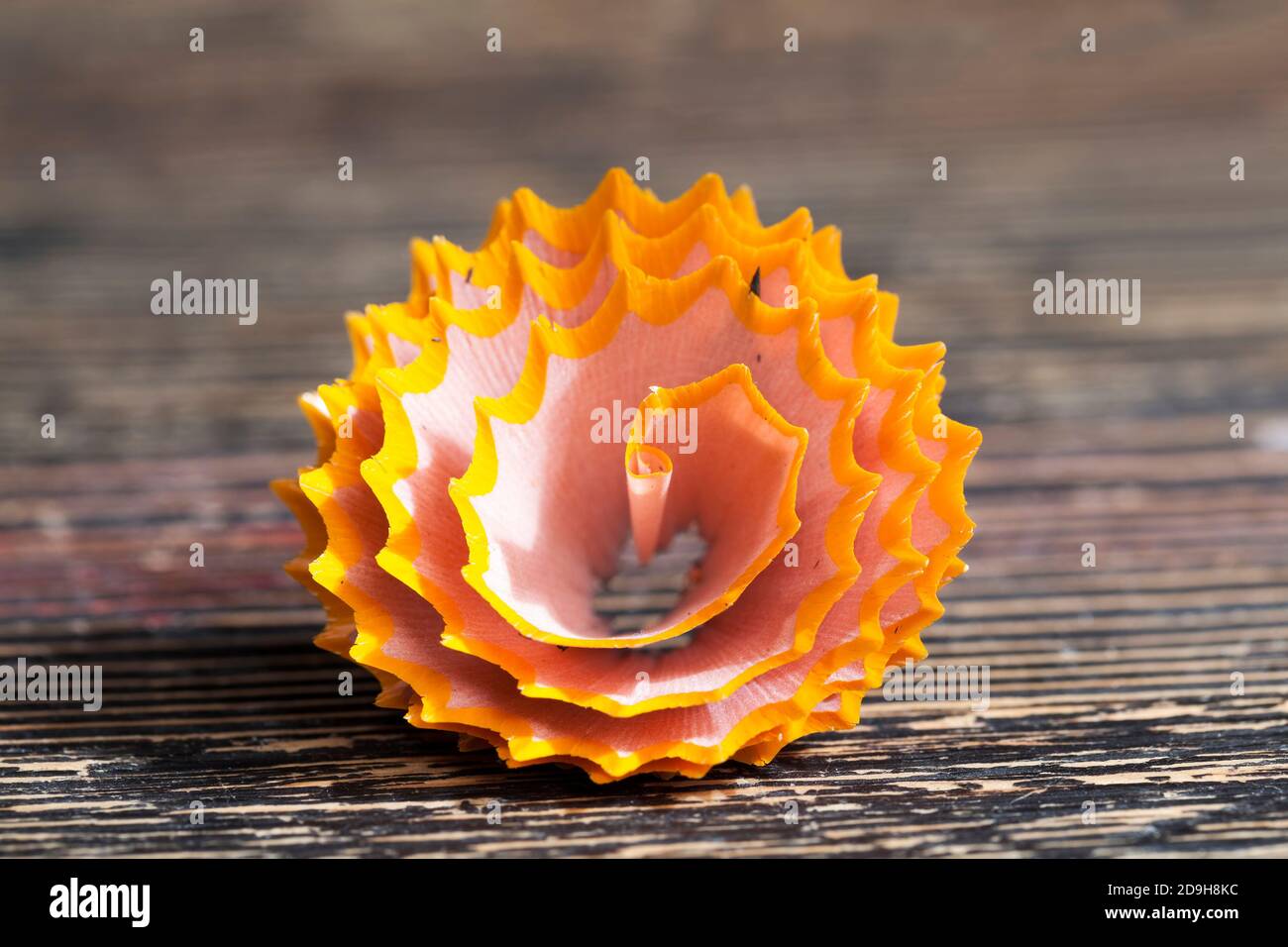 Lead designer hi-res stock photography and images - Alamy