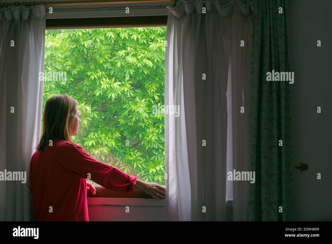 Woman from back looking out a window , with a background of green ...