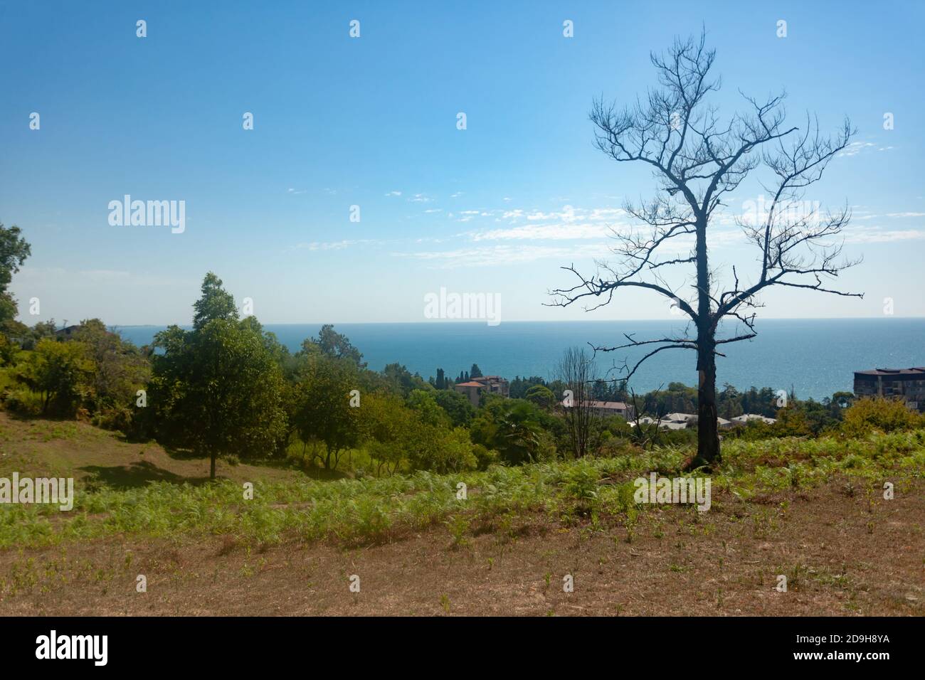 Hill top view water hi-res stock photography and images - Alamy