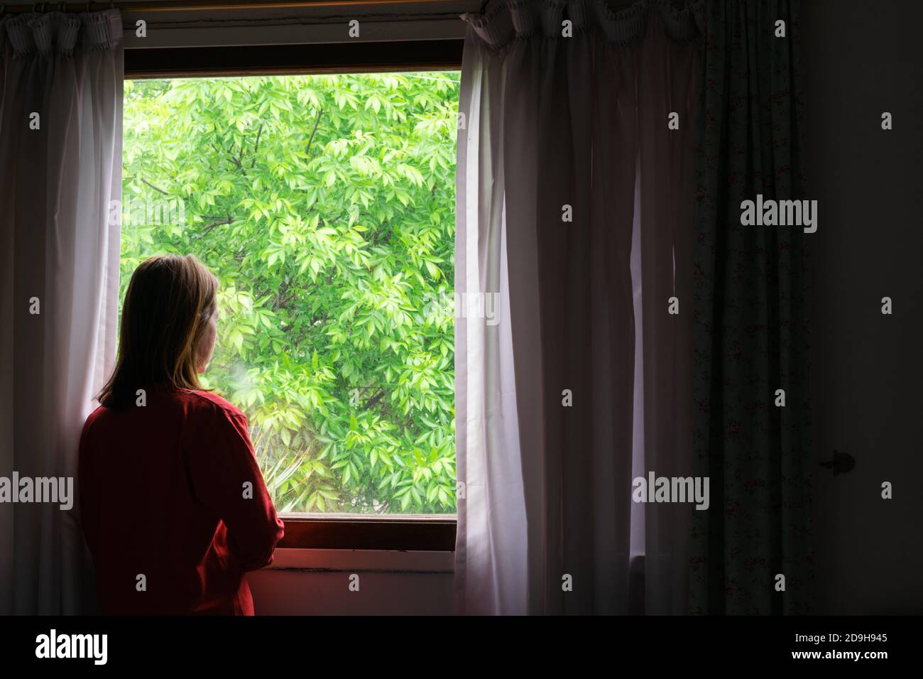 Woman from back looking out of a window , with a background of a green ...