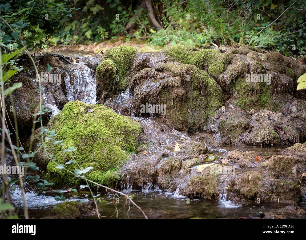 Moss-covered boulders and flowing streams as a small waterfall model ...