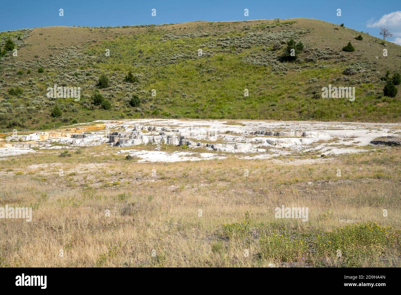 Opal Terrace, located across the road from the Mammoth Hot Springs ...