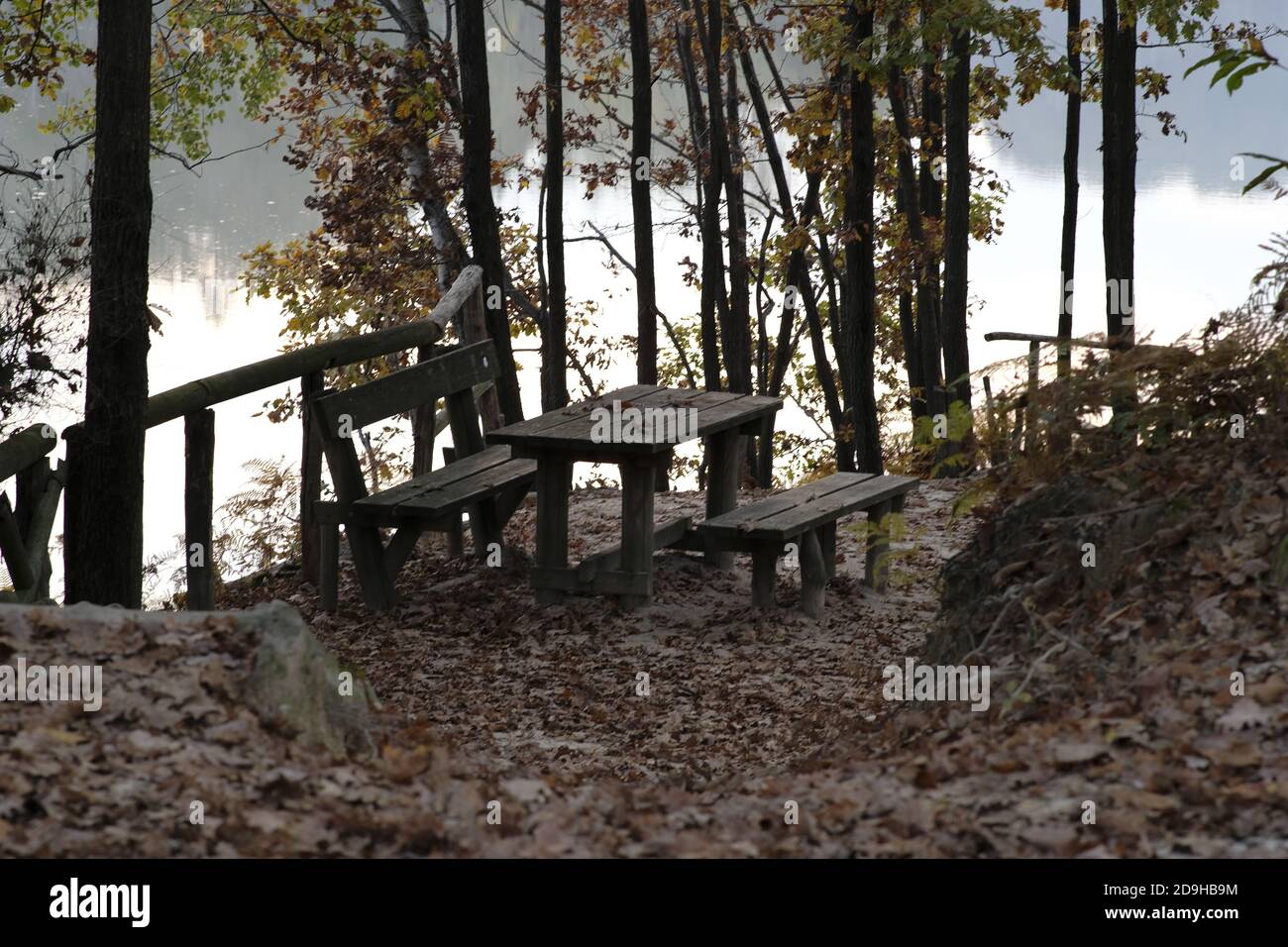Wooden bench in a forest surrounded by trees - autumn landscape Stock ...