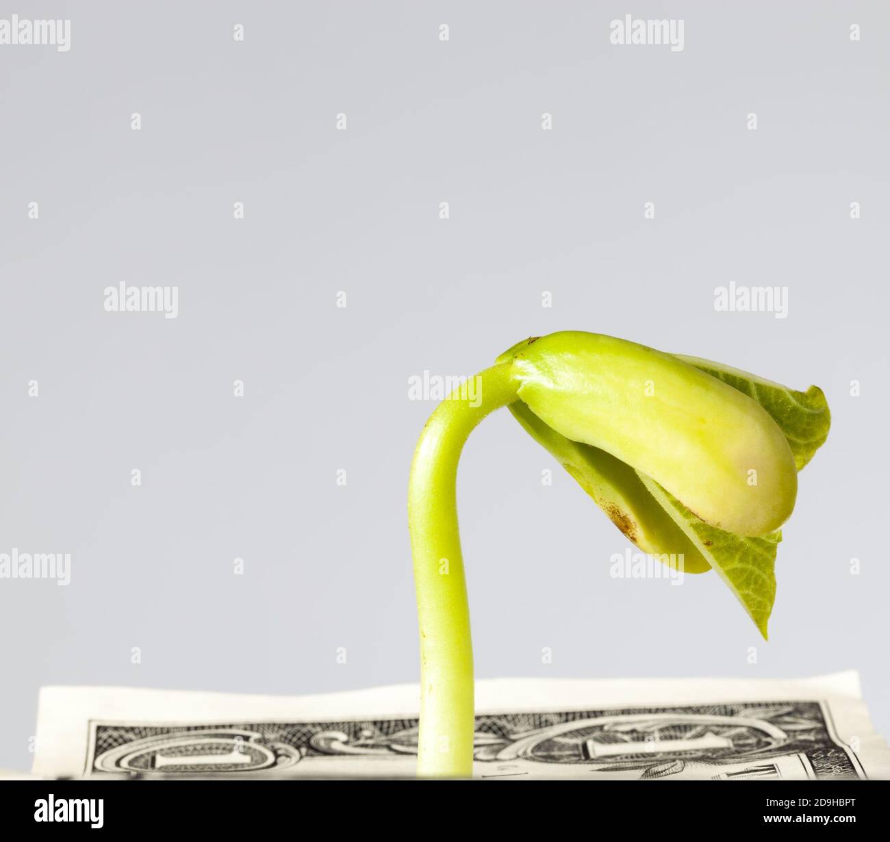 one us dollar paper money Stock Photo - Alamy