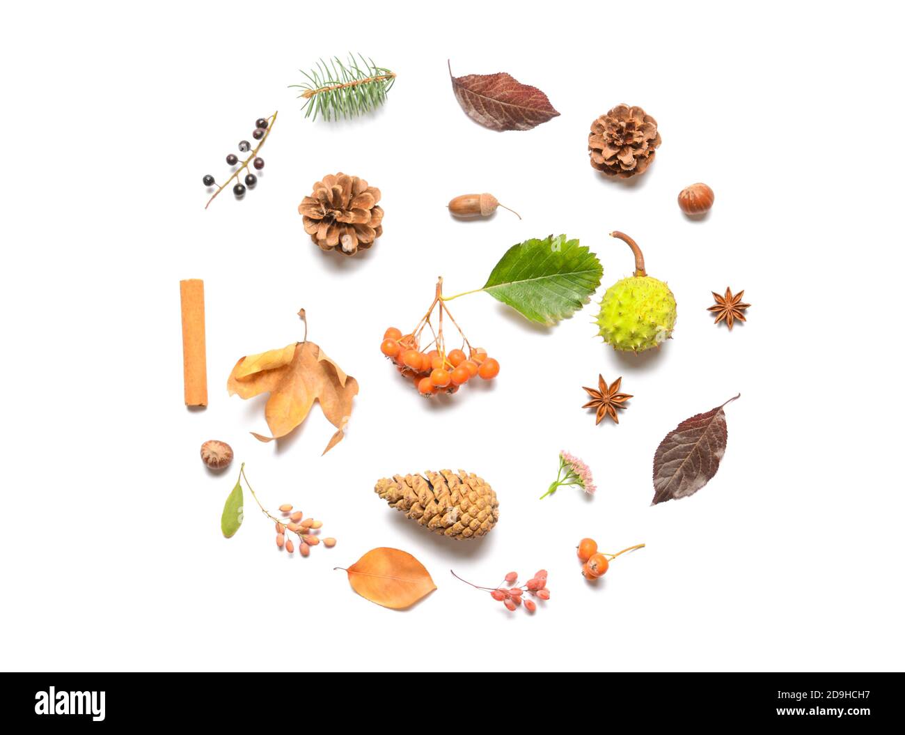 Autumn composition green desk Cut Out Stock Images & Pictures - Alamy