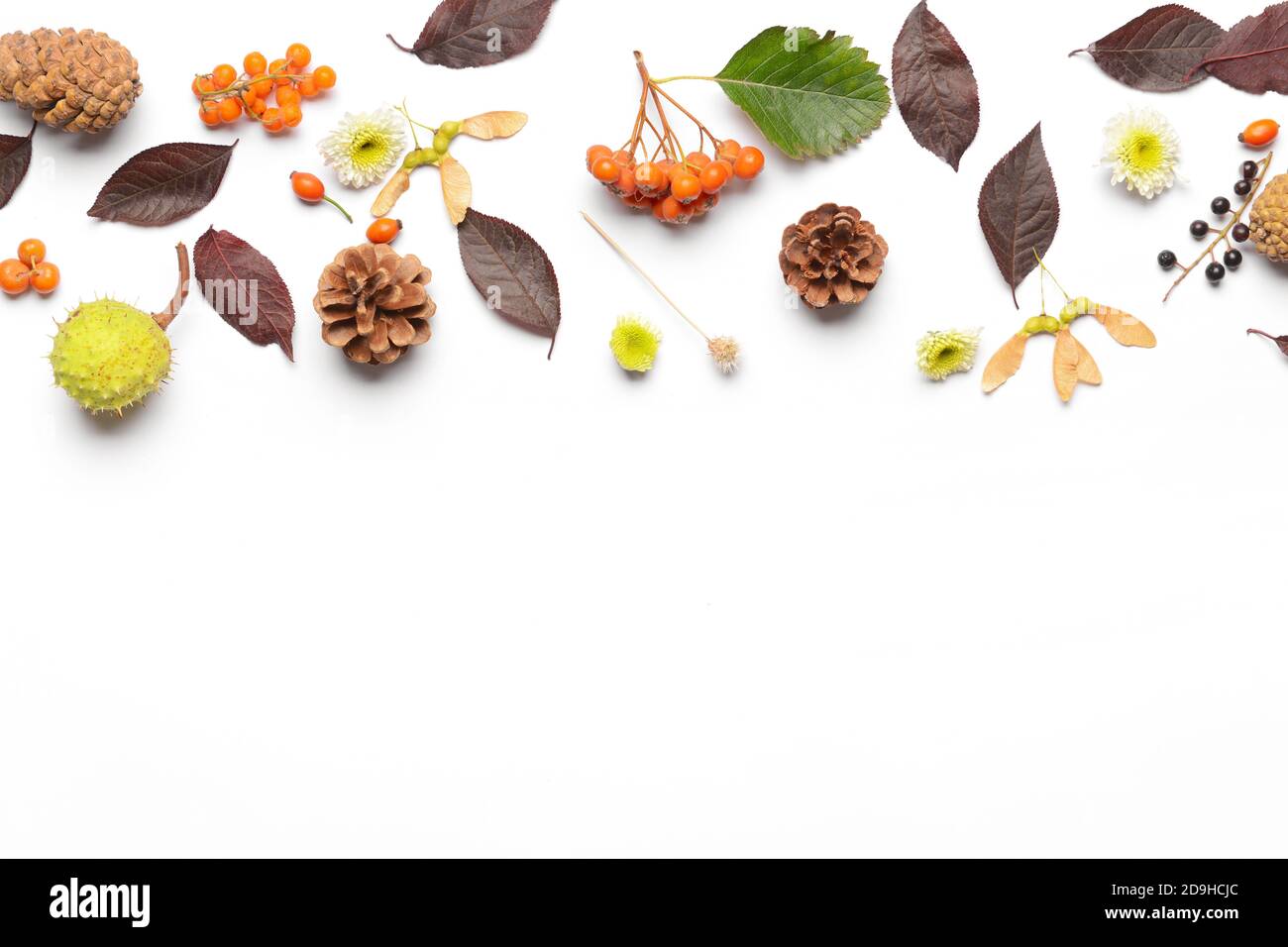 Beautiful autumn composition on white background Stock Photo - Alamy