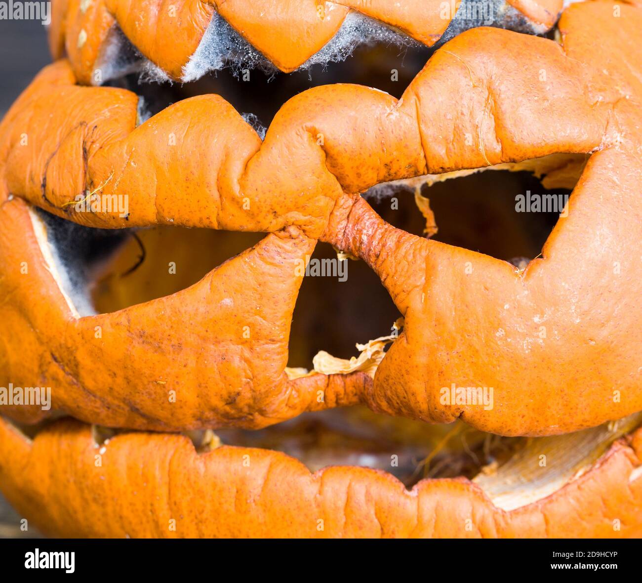 Rotten pumpkin hi-res stock photography and images - Alamy