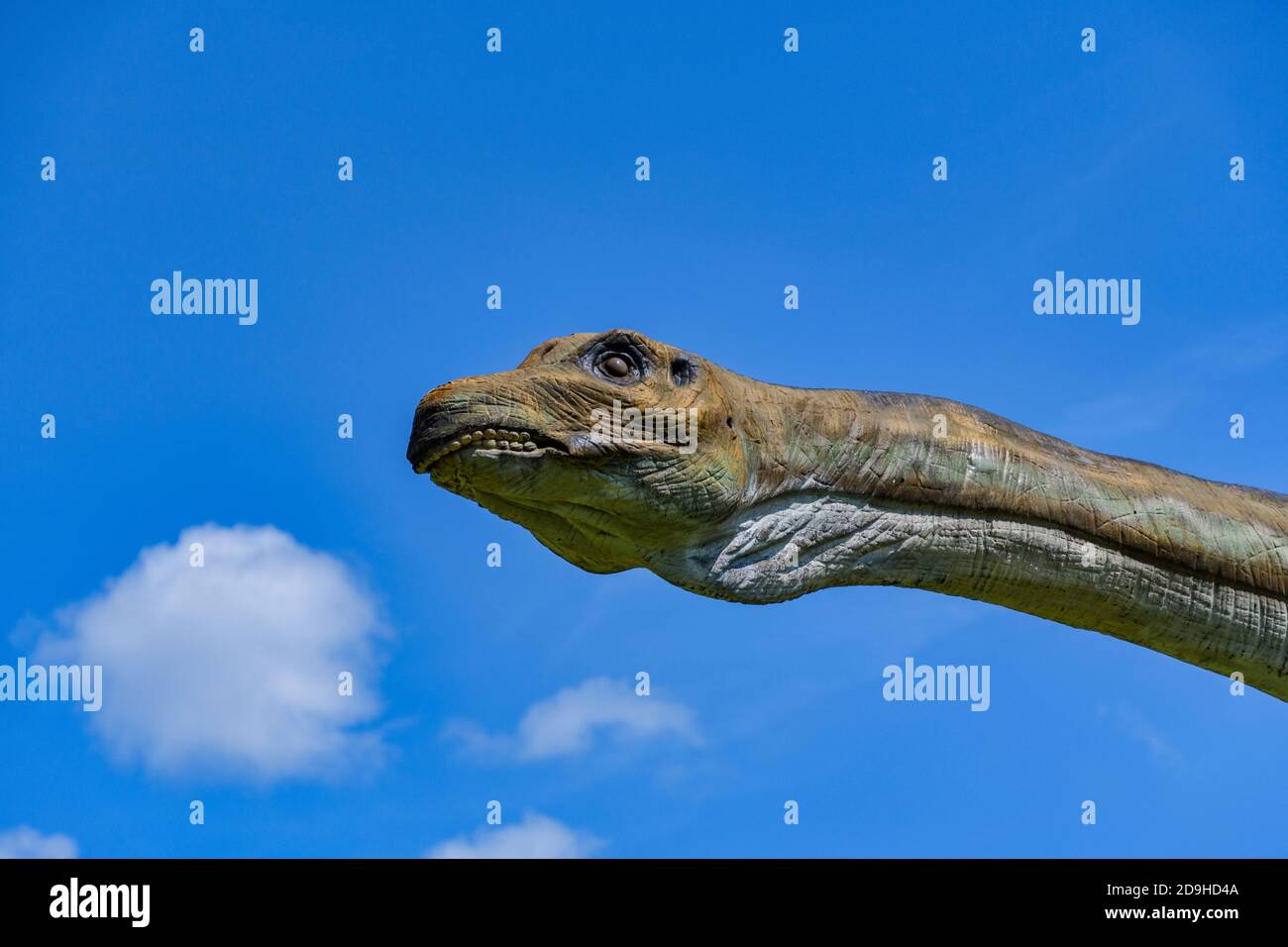 Closeup of a giant theropod dinosaur's head on a clear sky background ...