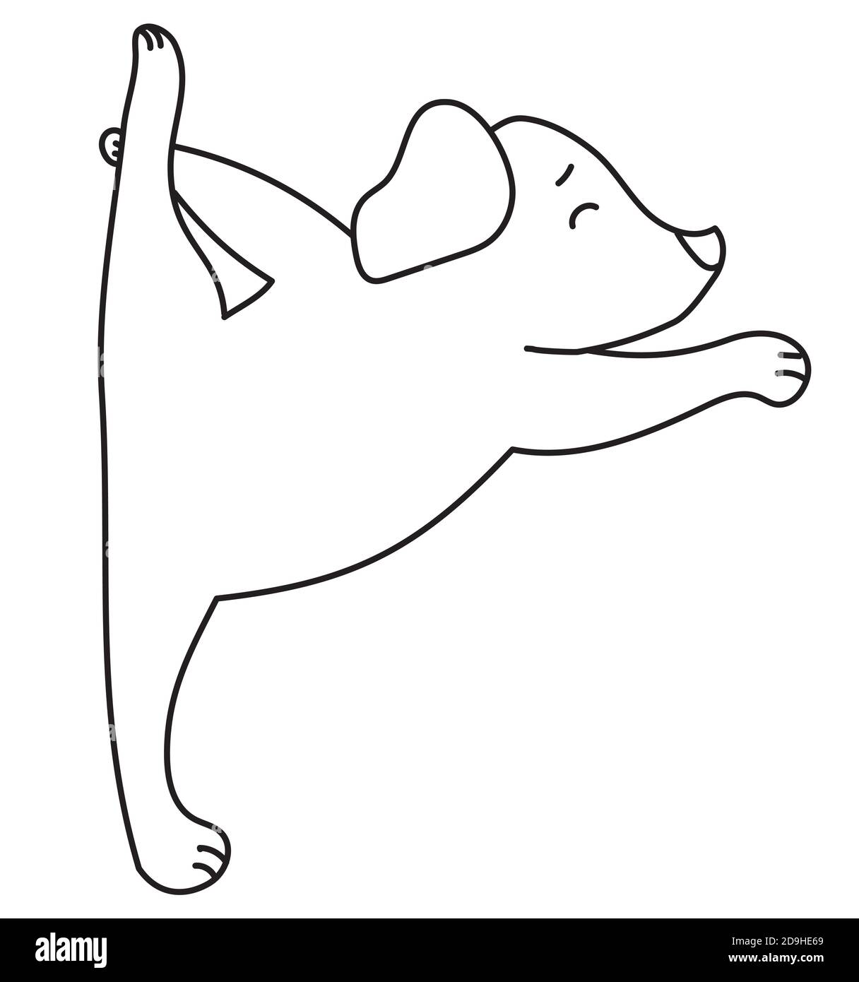 Yoga pets. A cute and funny puppy stands in an asana. Dog yoga. Dog ...