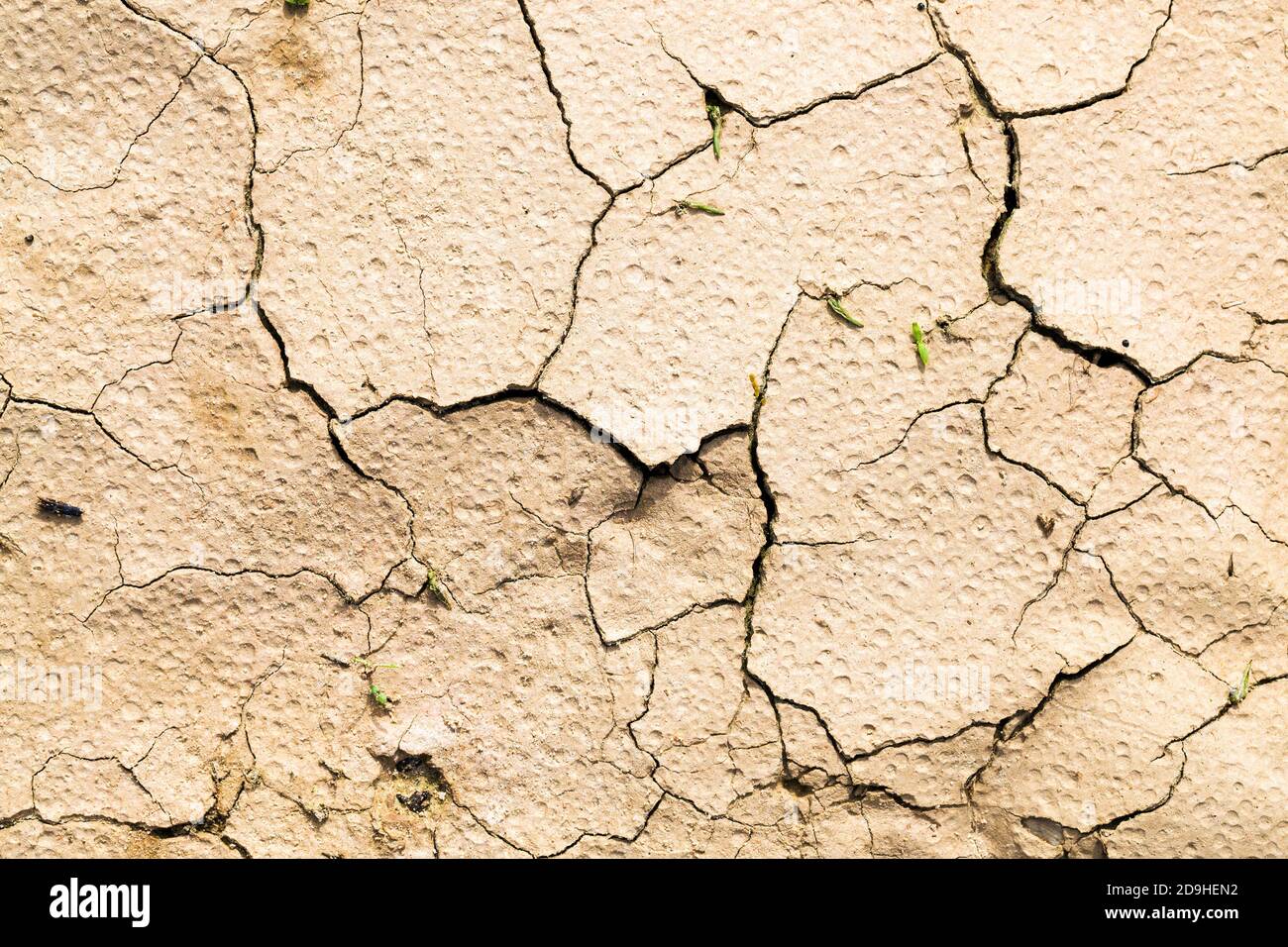 cracked soil in agricultural field Stock Photo - Alamy