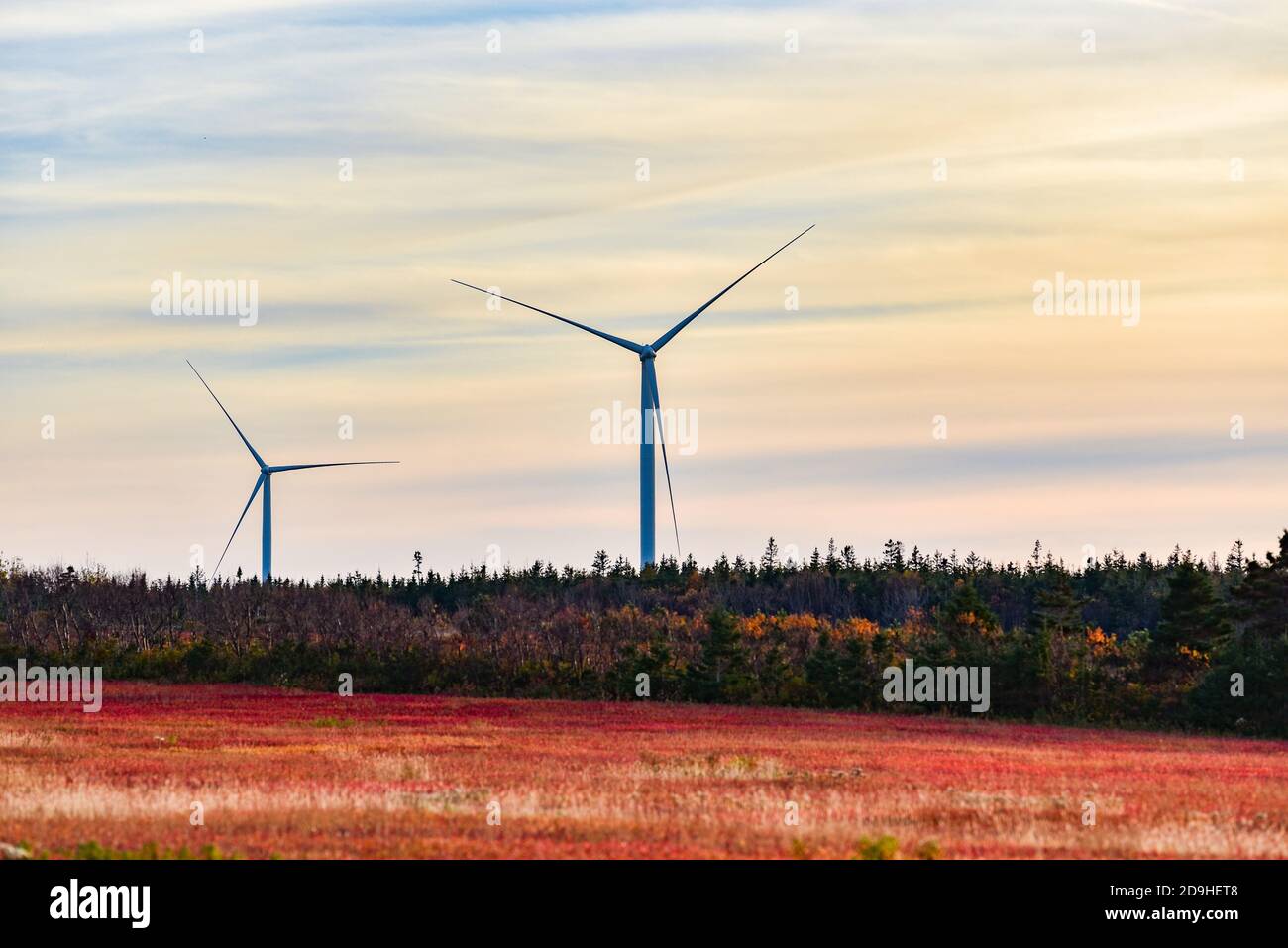 Wind turbines above blueberry fields hi-res stock photography and ...