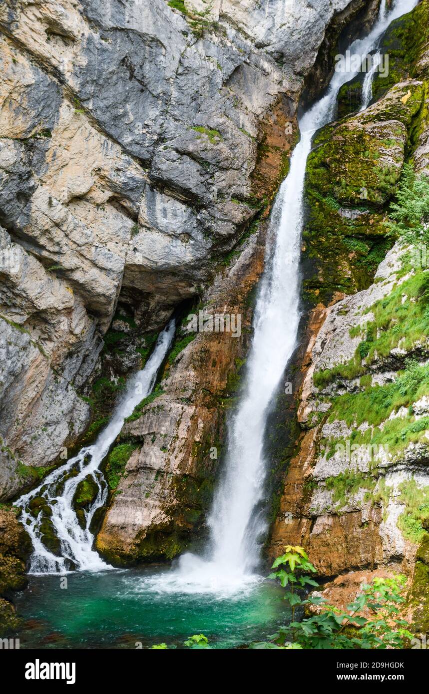 Vertical shot of Triglav National Park in Bohinjsko, Slovenia Stock ...