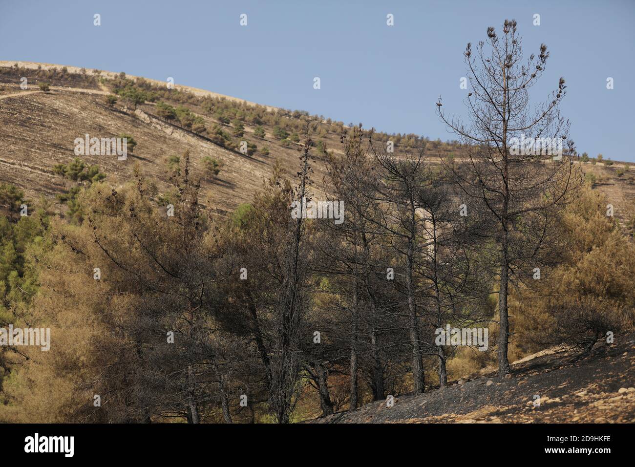 ERBIL, IRAQ - Sep 15, 2020: Forest fires in the mountain in Kurdistan ...