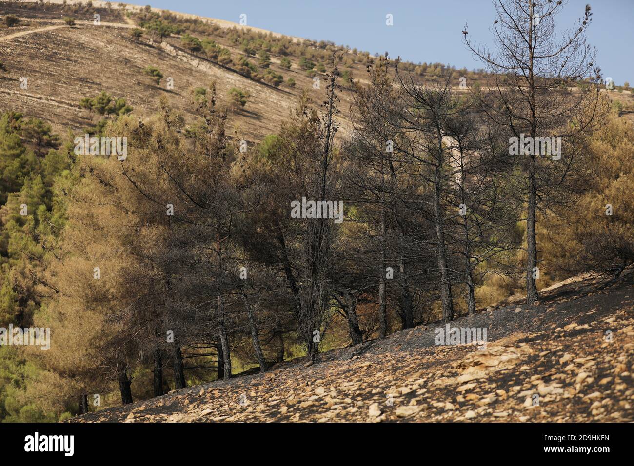 ERBIL, IRAQ - Nov 01, 2020: Forest fires in the mountain of Kurdistan ...