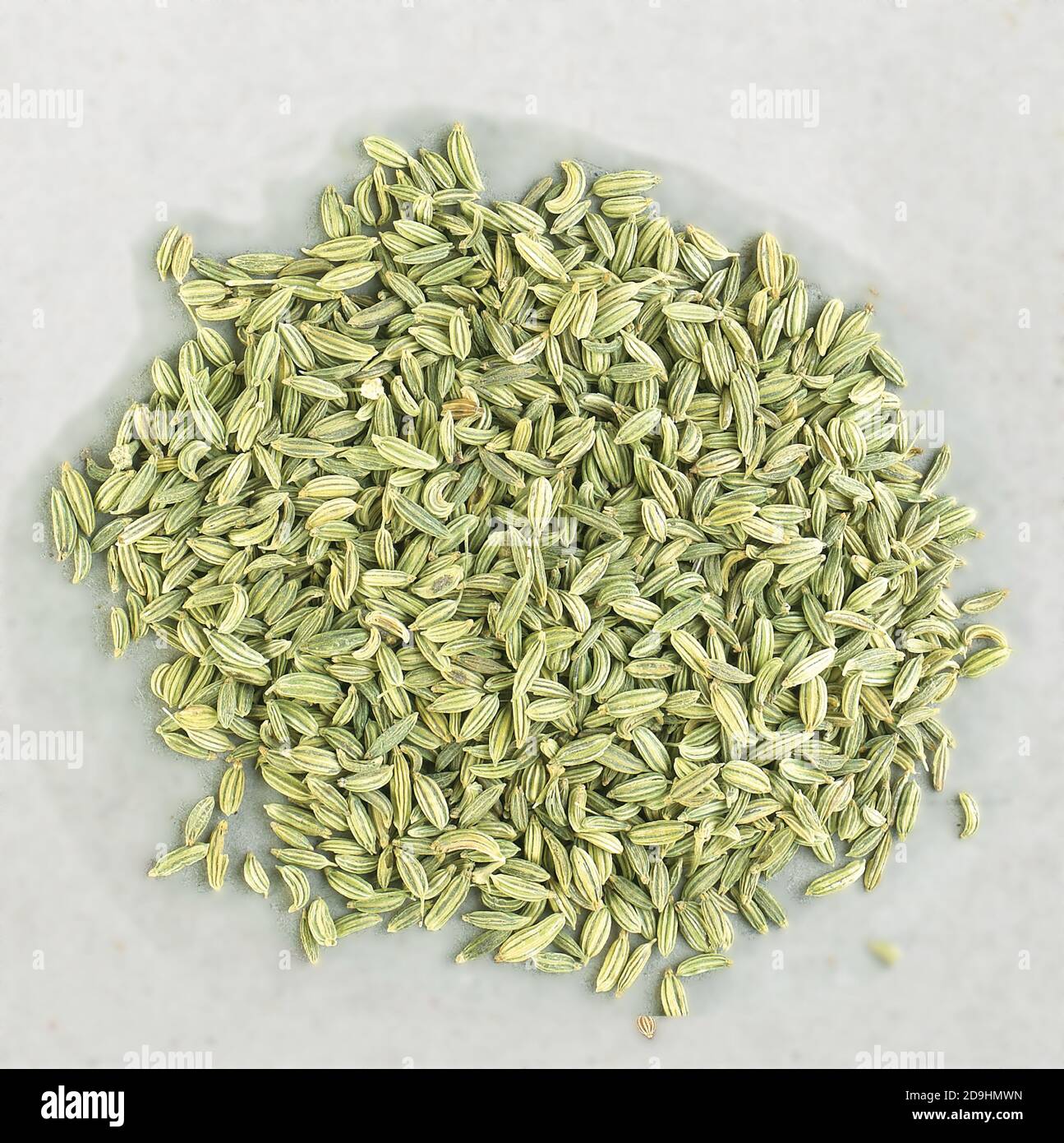 Variyali hi-res stock photography and images - Alamy