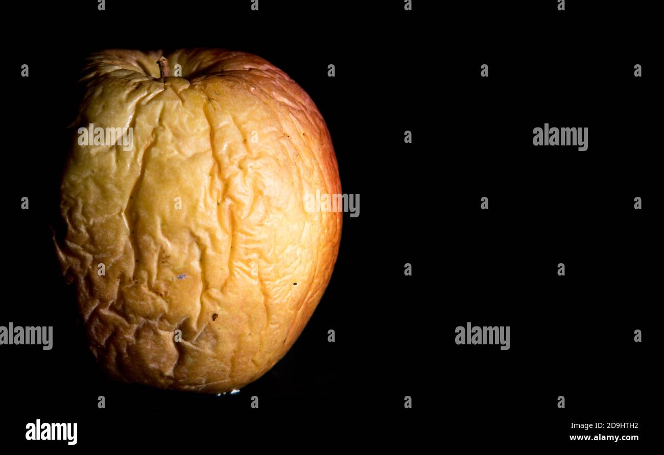 Shriveled yellow and red apple with deep wrinkles on black background ...