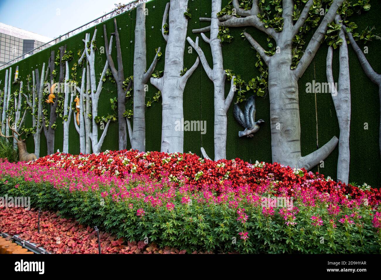 Lively forest hi-res stock photography and images - Alamy