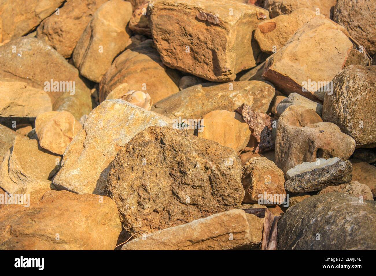 A dragonfly perches on the brown rock. a background of rocks Stock ...