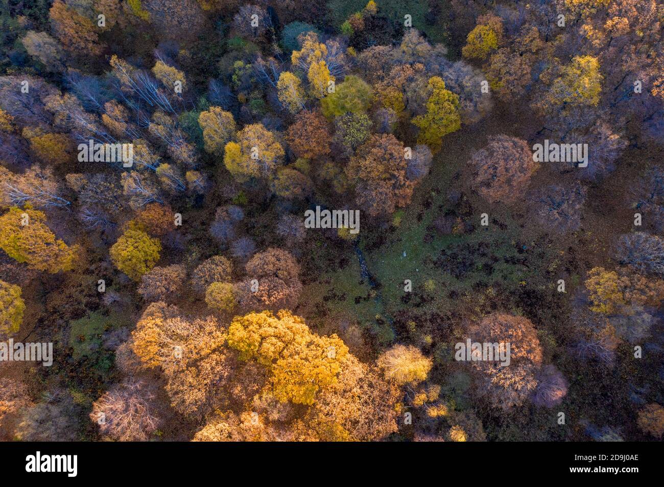Aerial photos of Heilongjiang National Park, showing the beautiful ...