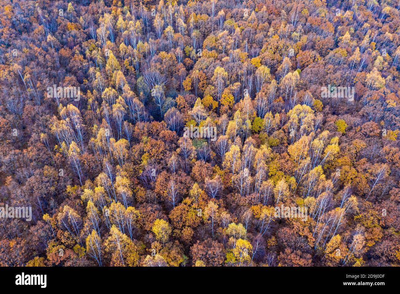 Aerial photos of Heilongjiang National Park, showing the beautiful ...