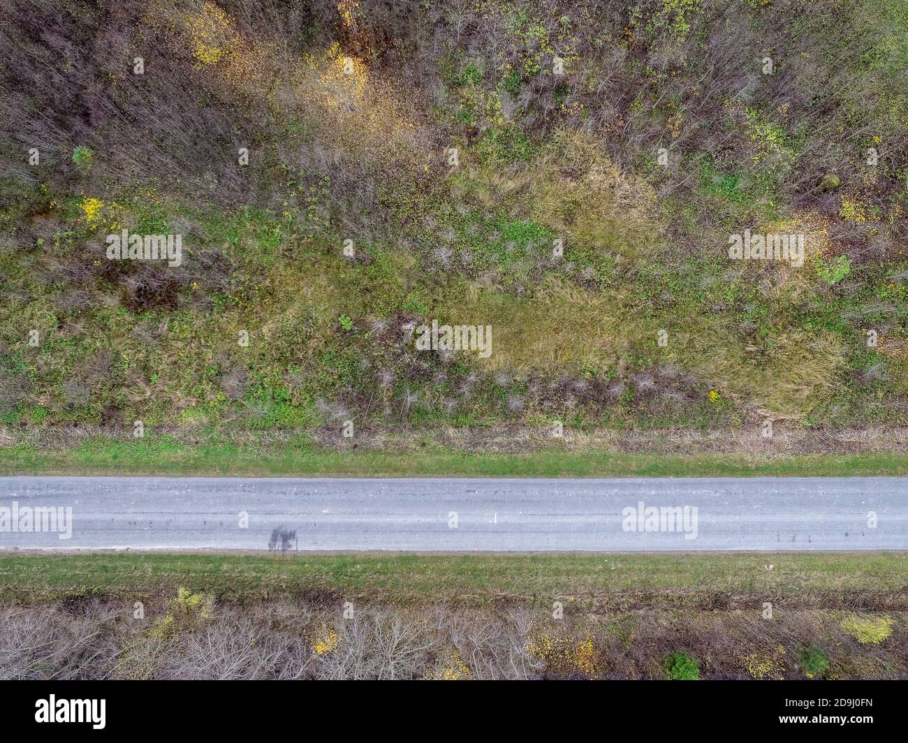 Top view of beautiful trees near a dirt path Stock Photo - Alamy
