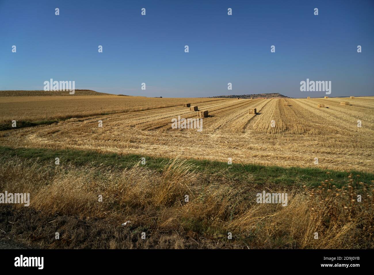 Rural landscape of Ezemvelo Nature Reserve Vlakfontein, South Africa ...